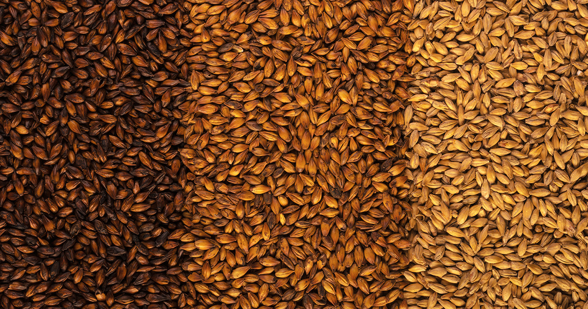 Spesialmalt